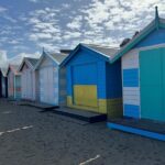 Phillip Island Penguins and Moonlit Sanctuary Private Day Tour - An In-Depth Look at the Tour Itinerary