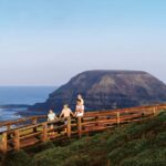 Phillip Island: Penguins and Wildlife Full-Day Tour - Koala Conservation Reserve