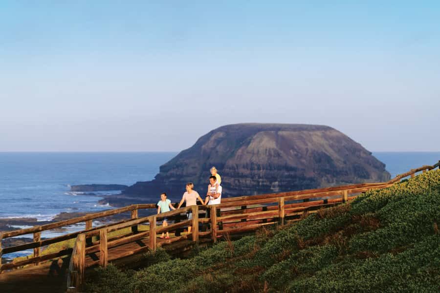 Phillip Island: Penguins and Wildlife Full-Day Tour - Koala Conservation Reserve