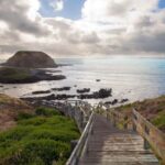 Phillip Island Wildlife & Brighton Beach Boxes Private Tour - How Do Travelers Feel About This Tour?