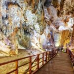 Phong Nha National Park: Paradise Cave Half-Day Tour - Authentic Experiences and Insights from Travelers