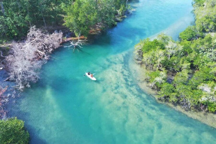 Phu Quoc: Private Half-Day City Tour with Hotel Pickup - How the Experience Shapes Up in Practice