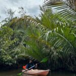 Phu Quoc: Starfish Beach, Kayaking, and Lunch Day Trip - The Sum Up