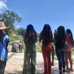 Phuket: Eco Guided Tour at Elephant Sanctuary - Meeting and Feeding the Elephants