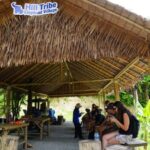 Phuket: Elephant Sanctuary Guided Tour with Hotel Transfers - The Value Proposition