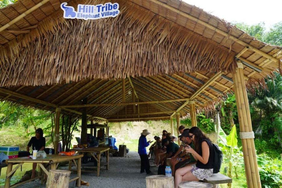 Phuket: Elephant Sanctuary Guided Tour with Hotel Transfers - The Value Proposition