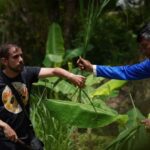 Phuket: Guide Tour to Patong Elephant Sanctuary - Who This Tour Is Best For