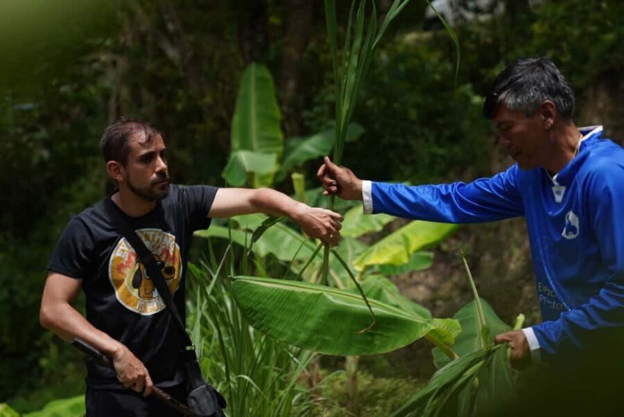 Phuket: Guide Tour to Patong Elephant Sanctuary - Who This Tour Is Best For