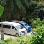 Phuket : Guided Tour to Elephant Sanctuary with Transfers - Authentic Voices: What Travelers Say