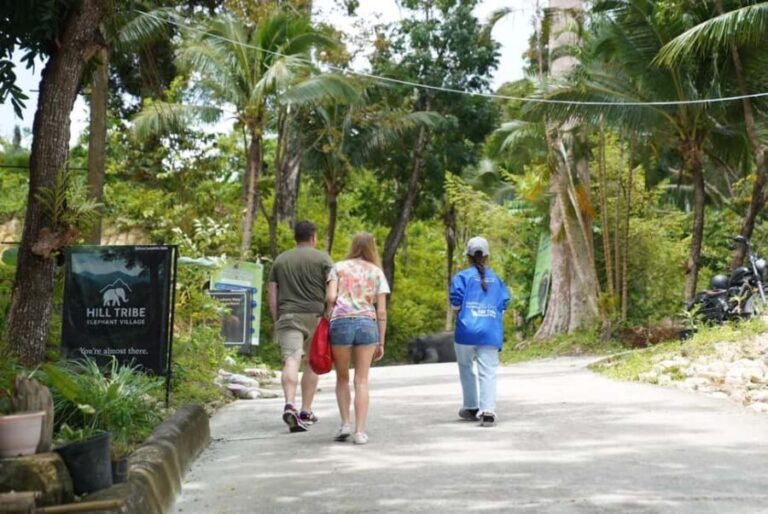 Phuket: Patong Elephant Sanctuary Observe & Learn Experience