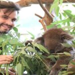 Pinnacles, Koalas & Sandboarding Tour Day Trip from Perth - Value for Money and Practical Tips