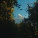Pokhara: Annapurna Base Camp Trek with Meals and Guide-Nepal - An In-depth Look at the Annapurna Base Camp Trek