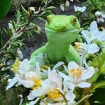 **Popular Cruiseship Tour** - Total Kiwi Experience! - Pricing and Value