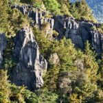 *Popular Tour* - Bay of Islands: Nature Adventure - 4hrs - What Makes This Tour Stand Out