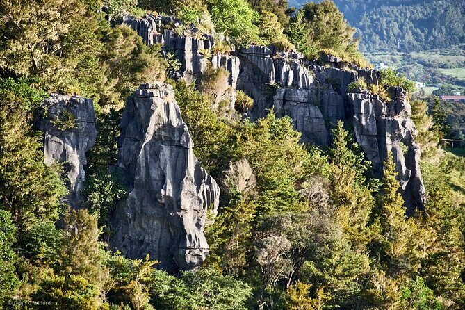 *Popular Tour* - Bay of Islands: Nature Adventure - 4hrs - What Makes This Tour Stand Out