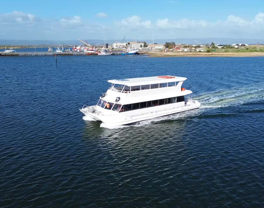 Port Adelaide: Dolphin and Maritime Cruise - The Experience in Detail