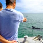 Port and Dolphin Cruise Bunbury Tour - What We Loved