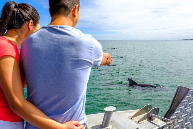 Port and Dolphin Cruise Bunbury Tour - What We Loved