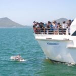 Port Stephens: Dolphin Cruise, Lunch, Koalas & Sandboarding - Transportation and Logistics: Making the Long Day Manageable