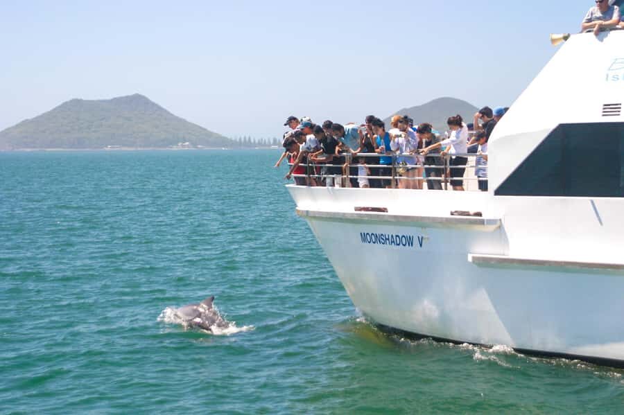 Port Stephens: Dolphin Cruise, Lunch, Koalas & Sandboarding - Transportation and Logistics: Making the Long Day Manageable