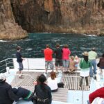 Port Stephens: Dolphin Watch Eco Adventure - Who Should Consider This Tour?