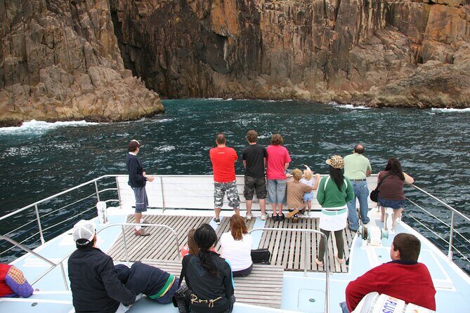 Port Stephens: Dolphin Watch Eco Adventure - Who Should Consider This Tour?