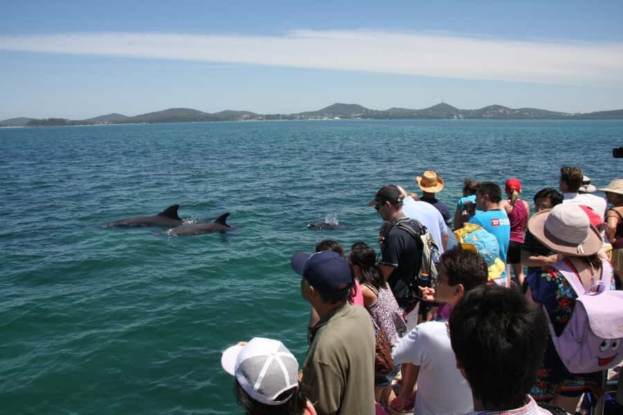 Port Stephens: Dolphin Watch & Eco Adventure - The Verdict: Is It Worth It?