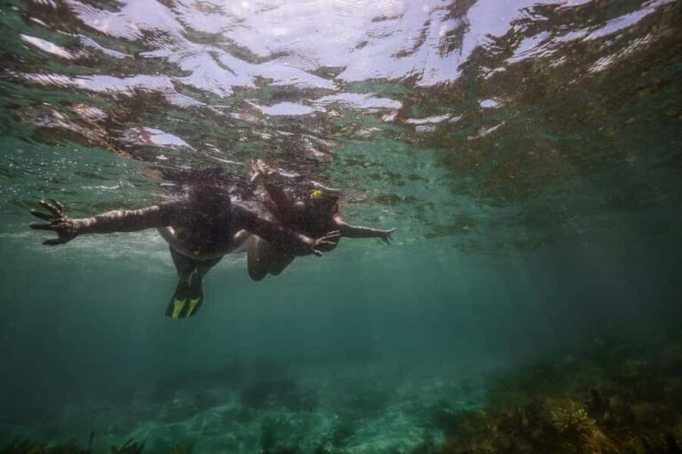 Port Stephens: Port Stephens Island Snorkel Adventure Cruise - The Rotating Locations: Cabbage Tree, Broughton, or Fingal Islands