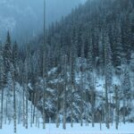 Private 2 Day Kaindy Kolsai Lake Charyn Canyon Private SUV Tour - In-Depth Look at the Itinerary