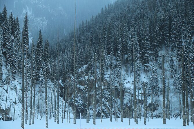 Private 2 Day Kaindy Kolsai Lake Charyn Canyon Private SUV Tour - In-Depth Look at the Itinerary