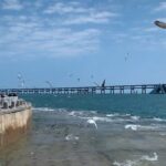 Private 2 Day Tour of Dalian City - In-Depth Analysis: Is This Tour Worth It?