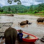 Private 3 Day Chiang Mai and Chiang Rai Tour - Cost and Value Analysis