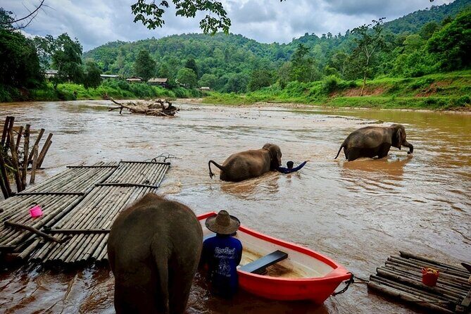 Private 3 Day Chiang Mai and Chiang Rai Tour - Cost and Value Analysis