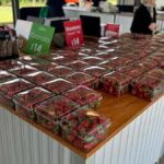 Private Ballarat Sovereign Hill Gold Mine Tours - How Does It Value Compare?