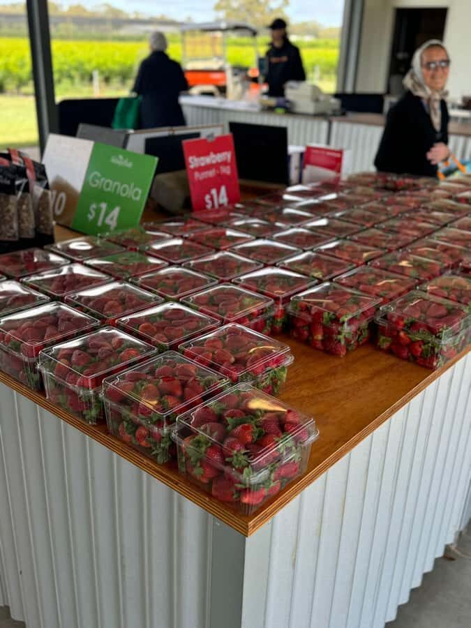 Private Ballarat Sovereign Hill Gold Mine Tours - How Does It Value Compare?