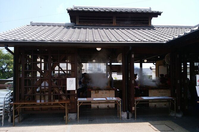 Private Beppu Hell Sightseeing Tour by Car - What Travelers Can Expect