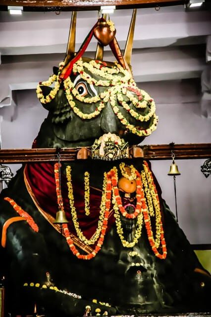 Private car and driver Bangalore Excursion to Bannerghatta - Who This Tour Is Best For