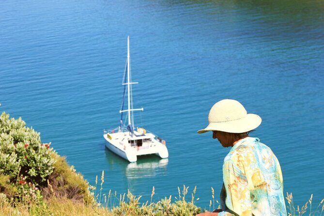 Private Catamaran Full Day Sailing Charter | Bay Of Islands - What’s Included and What to Consider
