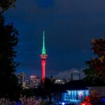 Private Christmas Walking Tour in Auckland City Lights - What the Tour Offers: Value and Practicality