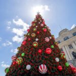 Private Christmas Walking Tour in Auckland City Lights - Authenticity and Value