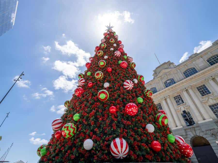 Private Christmas Walking Tour in Auckland City Lights - Authenticity and Value