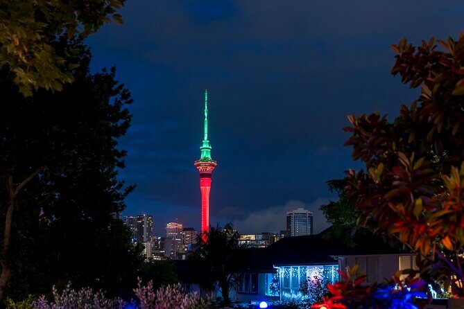 Private Christmas Walking Tour in Auckland City Lights - What the Tour Offers: Value and Practicality