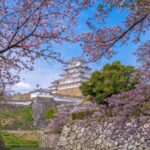 Private Customize Tour Himeji from Kyoto - Why This Tour Offers Value