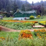 Private Day Tour : From Madurai to Enchanting Kodaikanal - Exploring Kodaikanal’s Natural Beauty