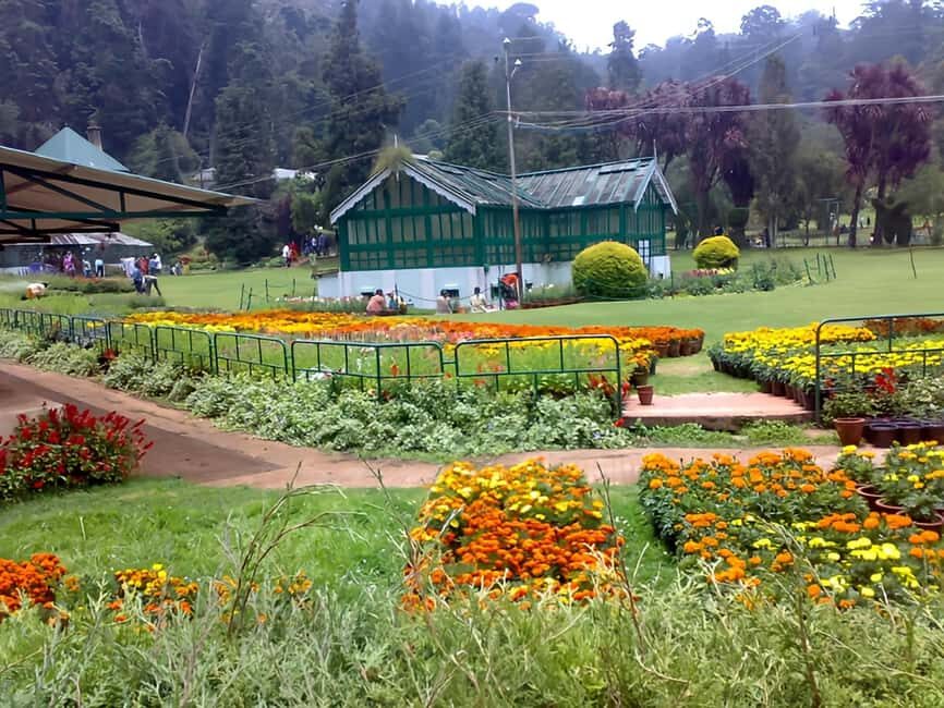 Private Day Tour : From Madurai to Enchanting Kodaikanal - Exploring Kodaikanal’s Natural Beauty
