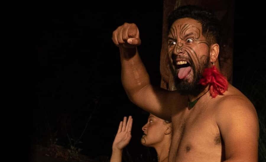 Private Day Tour - Rotorua, Kiwi Hatchery & Mori Culture - What You Can Expect From This Rotorua Experience