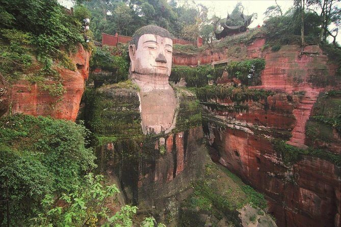 Private Day Tour to Chengdu from Beijing by Air: Leshan Giant Buddha and Pandas - What Travelers Say and Why It Matters