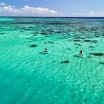 Private E-Board Tour of Moorea Lagoon - What Makes This Tour Special