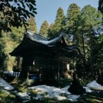 Private Echizen Lacquer Painting Experience and Cycling Tour - The Practicalities: Price, Duration, and Comfort