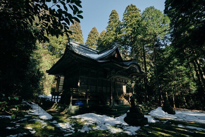 Private Echizen Lacquer Painting Experience and Cycling Tour - The Practicalities: Price, Duration, and Comfort